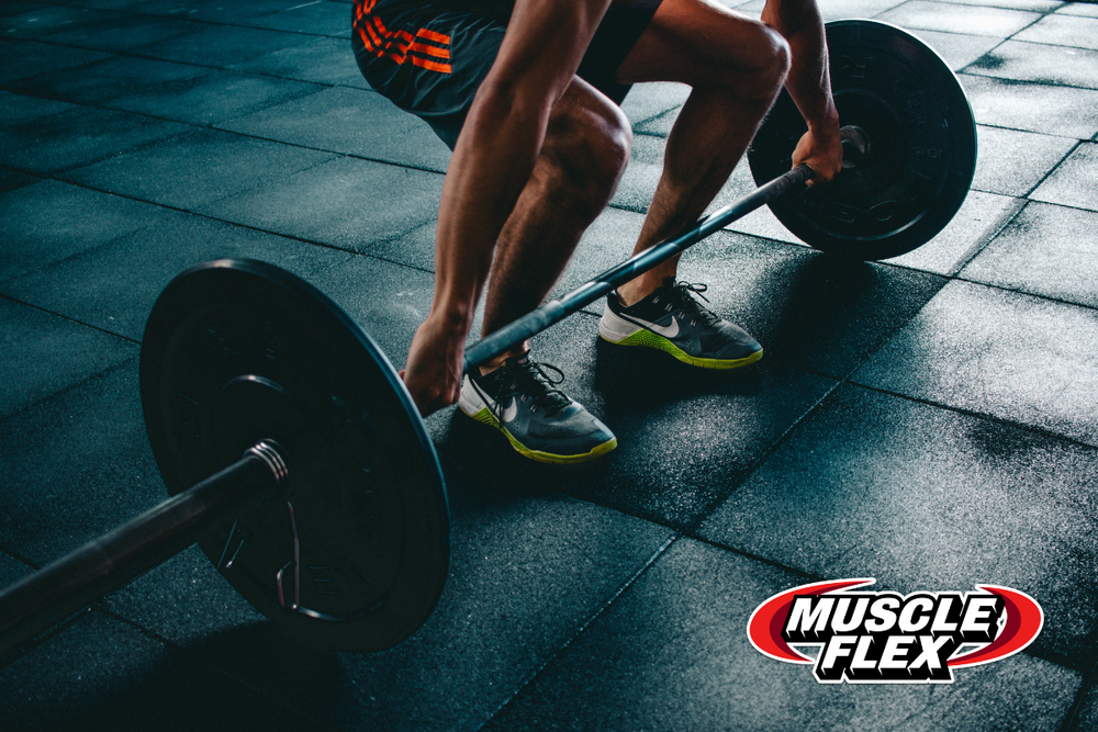 Muscle Flex Nutrition | Premium Sports Supplements